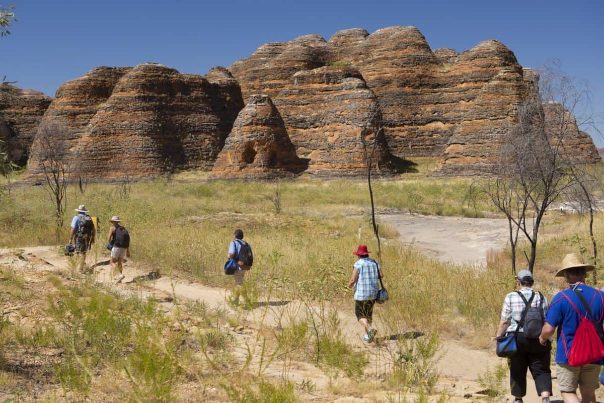 10 things you will learn touring with Bungle Bungle Guided Tours ...